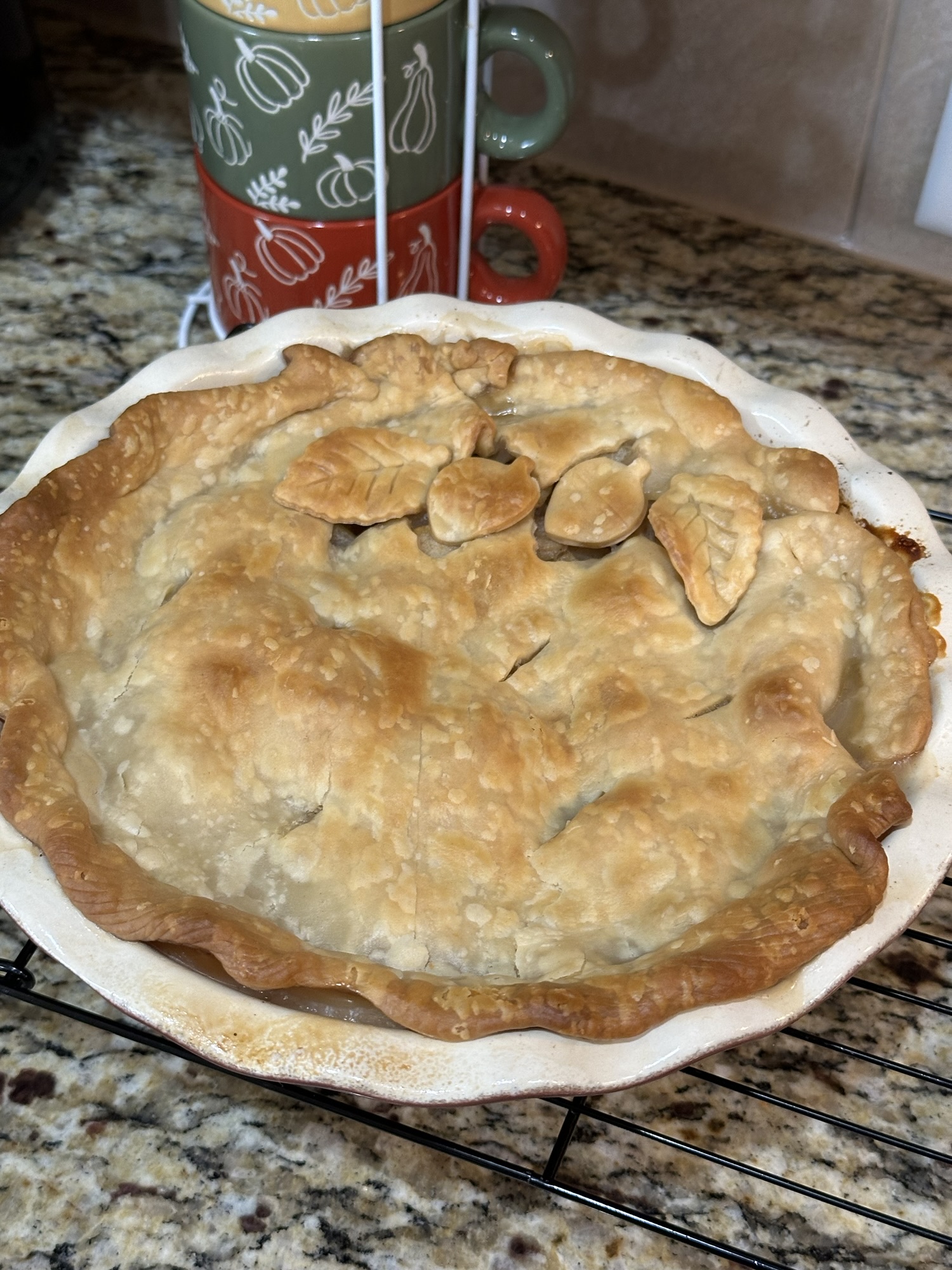 Apple Pie Using Our Frozen Apple Pie Filling – My Crafty Corner